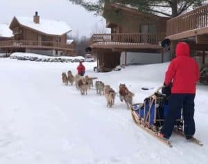 6 Unique Winter Adventures That You Can Try In Michigan