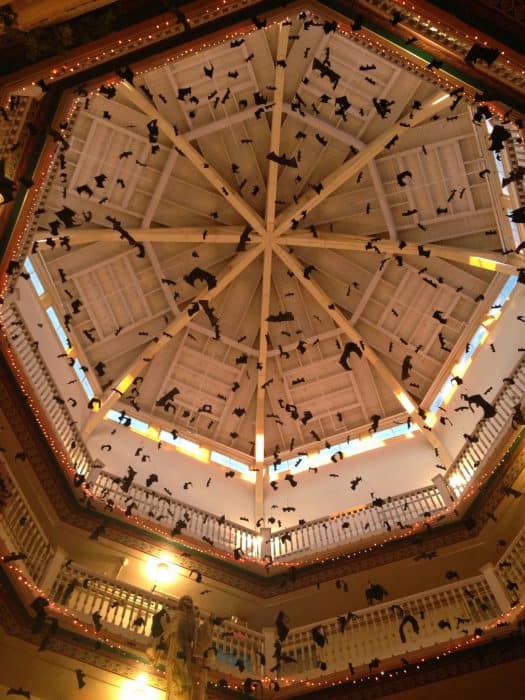 Adventures at Cedar Point Amusement Park