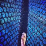 The World’s First Shark Bridge at Newport Aquarium