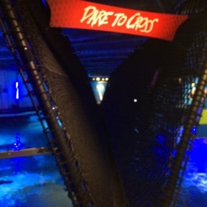 The World’s First Shark Bridge at Newport Aquarium