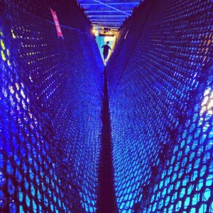 The World’s First Shark Bridge at Newport Aquarium