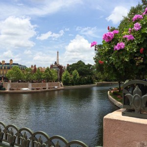 My favorite images from our visit to the Epcot International Flower and ...