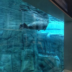 A Behind the Scenes Tour of the Toledo Zoo - Adventure Mom