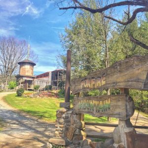 Amazing Adventures at Foxfire Mountain Adventure Park - Adventure Mom