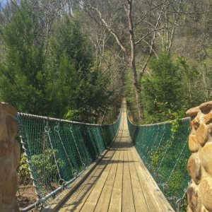 Amazing Adventures at Foxfire Mountain Adventure Park - Adventure Mom