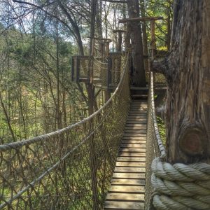 Amazing Adventures at Foxfire Mountain Adventure Park - Adventure Mom