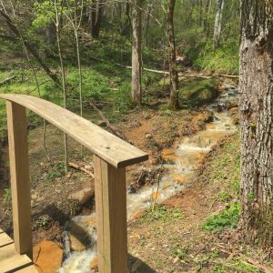 Amazing Adventures at Foxfire Mountain Adventure Park - Adventure Mom