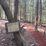 Amazing Adventures at Foxfire Mountain Adventure Park - Adventure Mom