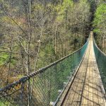 Amazing Adventures at Foxfire Mountain Adventure Park - Adventure Mom