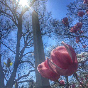 10 Reasons Why I Love to Walk in a Cemetery - Adventure Mom