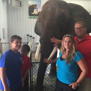 An Elephant Encounter That You Will Never Forget! - Adventure Mom