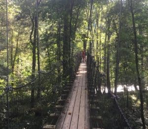 3 Amazing Adventures You'll Want to Try at Rafting in the Smokies ...