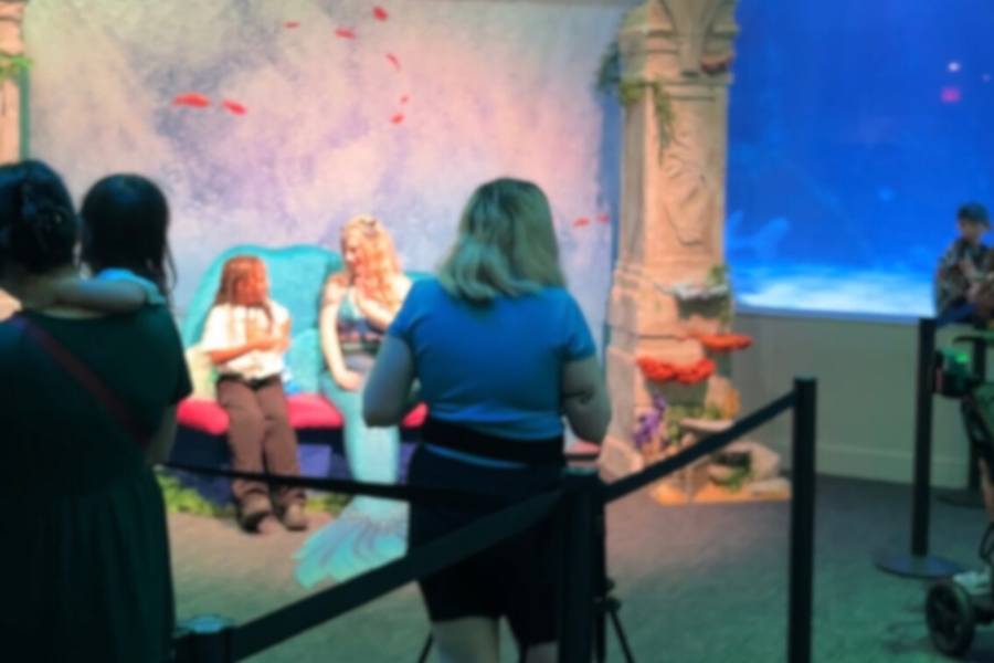 See Mermaids at Newport Aquarium in Newport, Kentucky