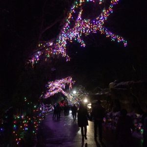 10+ Cincinnati Holiday Events That You Don't Want to Miss!