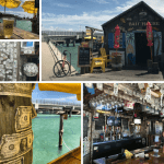 Fun Things to Do in Clearwater Florida - Adventure Mom