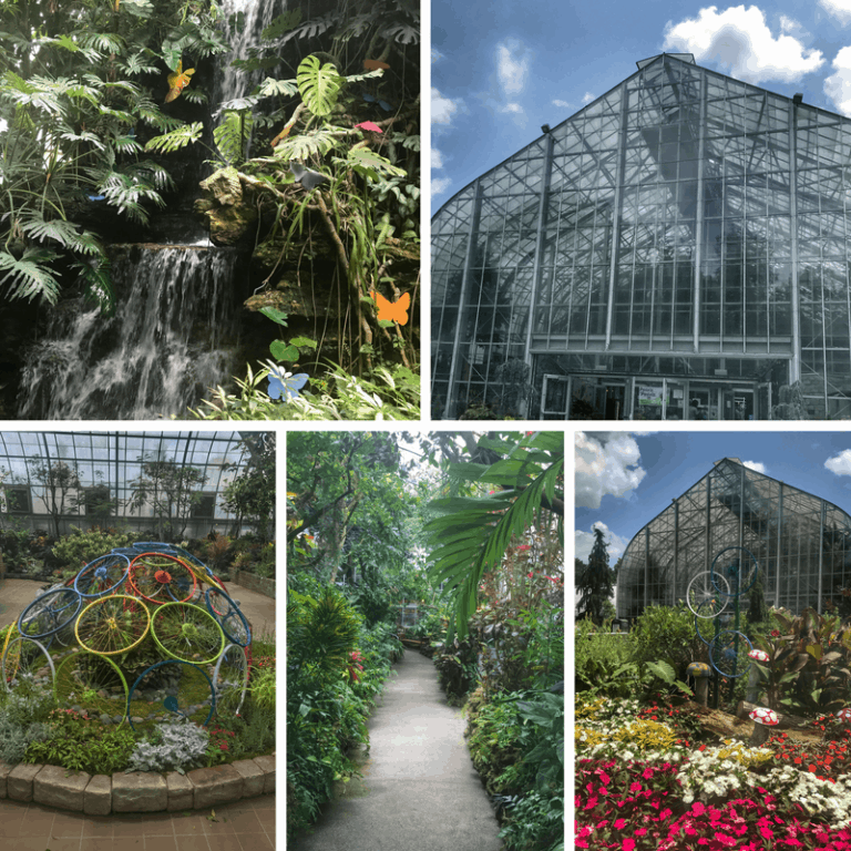 Affordable Adventures in Cincinnati for $5 or Less - Adventure Mom