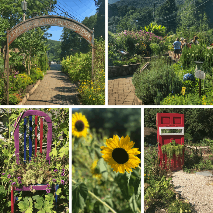 How to make the most of your time at Lake Lure