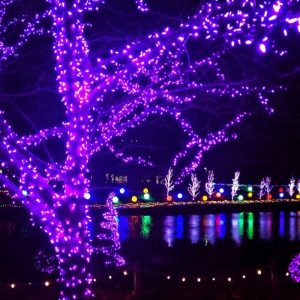 The Best Christmas Light Displays in Kentucky