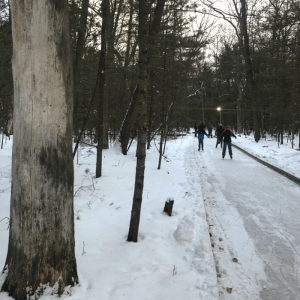 An Ice Skating Trail in the Woods That You Need to Visit