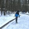 An Ice Skating Trail in the Woods That You Need to Visit