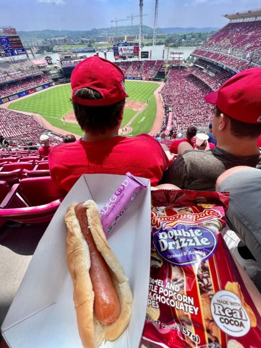 7 Things Our Family Enjoys at a Reds Game - Adventure Mom