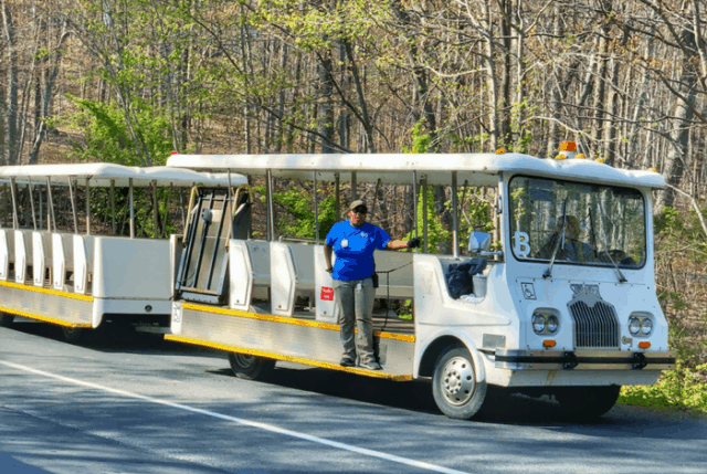 How to Make the Most of Your Visit to the North Carolina Zoo