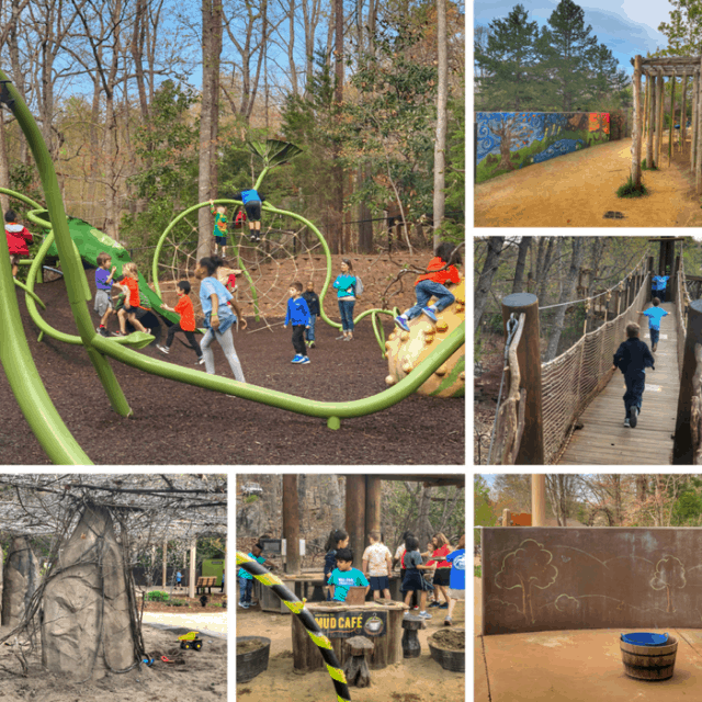 How to Make the Most of Your Visit to the North Carolina Zoo