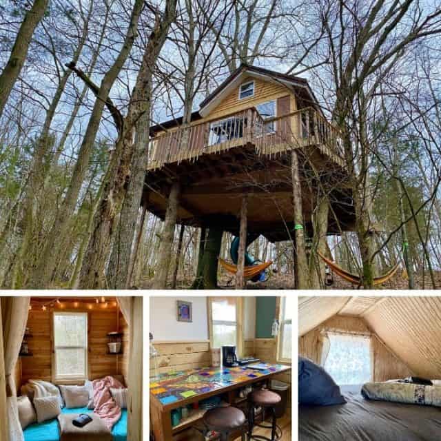Adventures in a Treehouse Rental from EarthJoy Tree Adventures