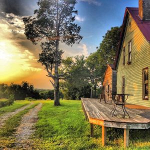 Adventures in a Treehouse Rental from EarthJoy Tree Adventures