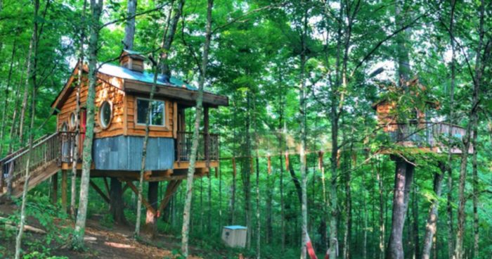 Adventures in a Treehouse Rental from EarthJoy Tree Adventures