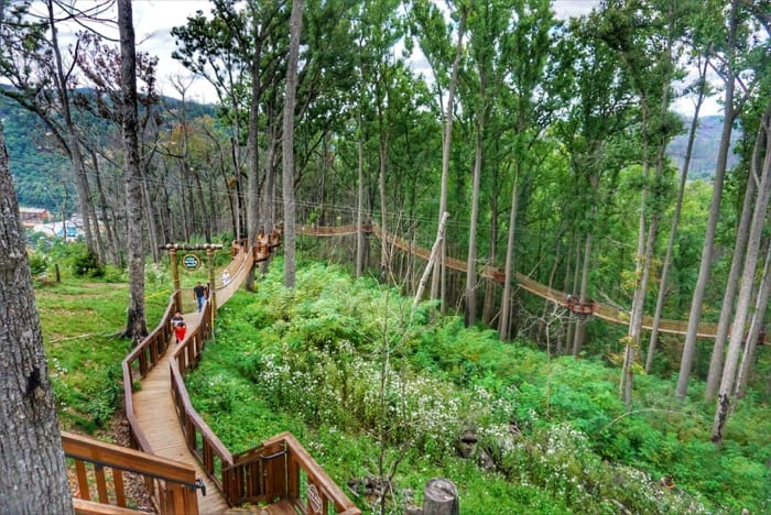 Why You Need to Visit Anakeesta in Gatlinburg - Adventure Mom