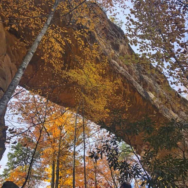 5 Things to Do When You Visit Red River Gorge - Adventure Mom