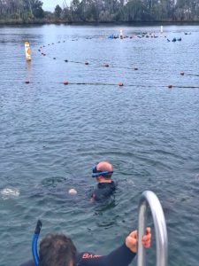 How to Make the Most of Your Time at Crystal River - Adventure Mom