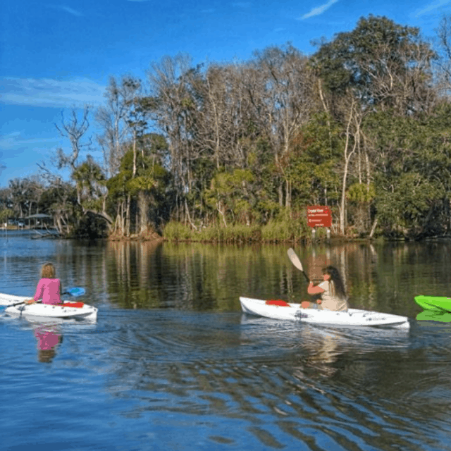 How to Make the Most of Your Time at Crystal River - Adventure Mom