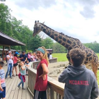 Fun and Unique Things to Do in Wisconsin Dells, WI