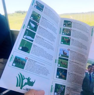 Explore The Wilds in Ohio and Interesting Things to Do Nearby