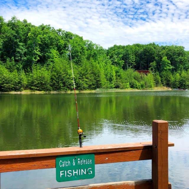 Plan your Red River Gorge Getaway at Cliffview Resort