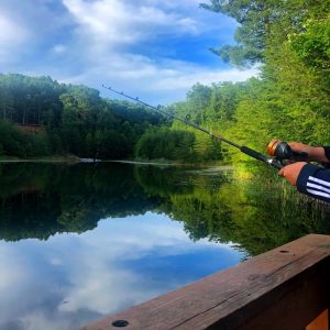 Plan your Red River Gorge Getaway at Cliffview Resort
