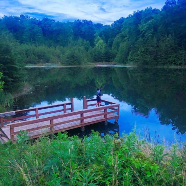 Plan your Red River Gorge Getaway at Cliffview Resort