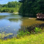 Plan your Red River Gorge Getaway at Cliffview Resort