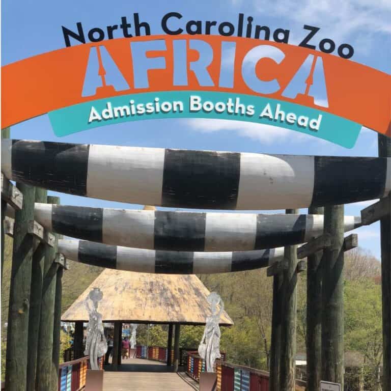 How to Make the Most of Your Visit to the North Carolina Zoo