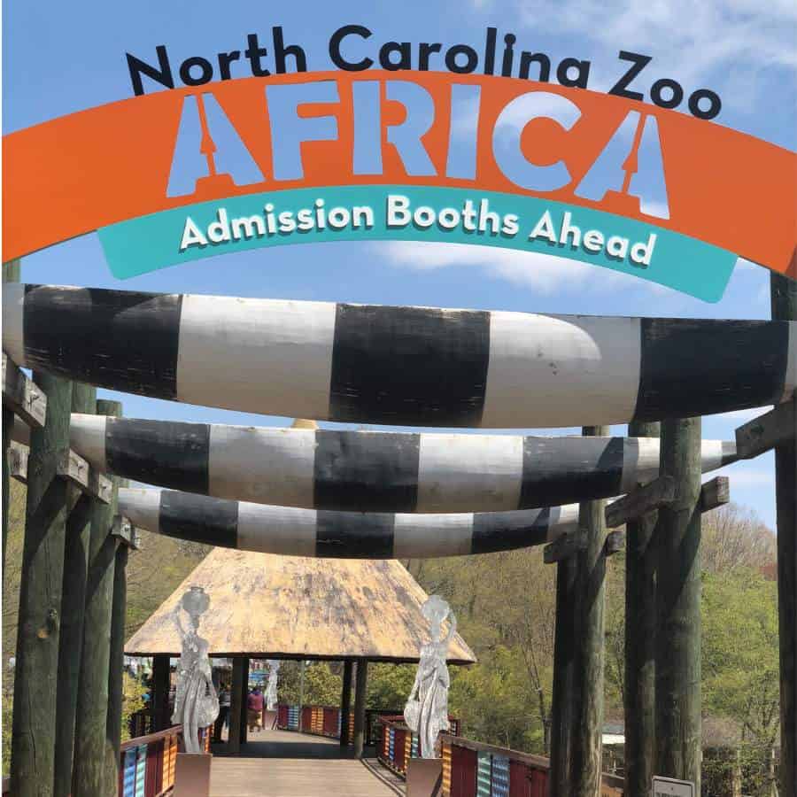 How to Make the Most of Your Visit to the North Carolina Zoo