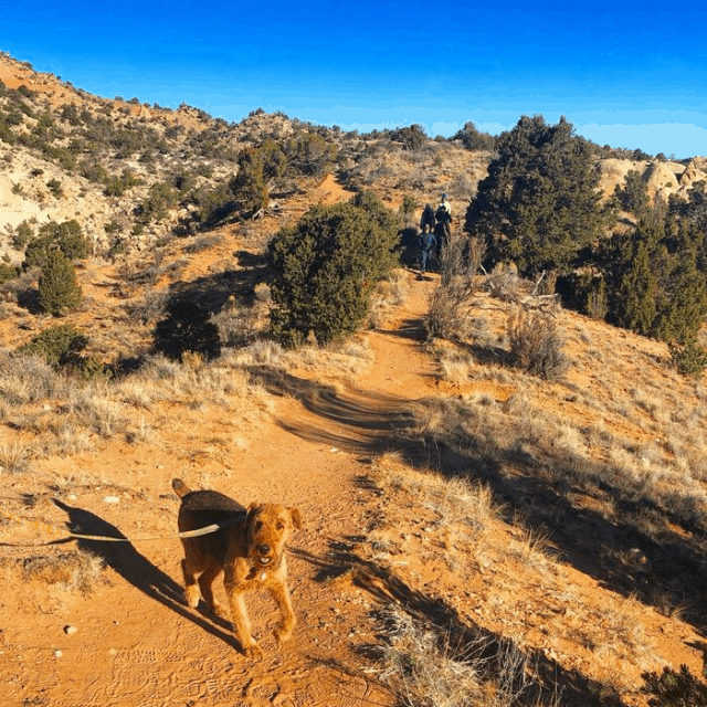 Top 5 Things to Do in Gallup New Mexico