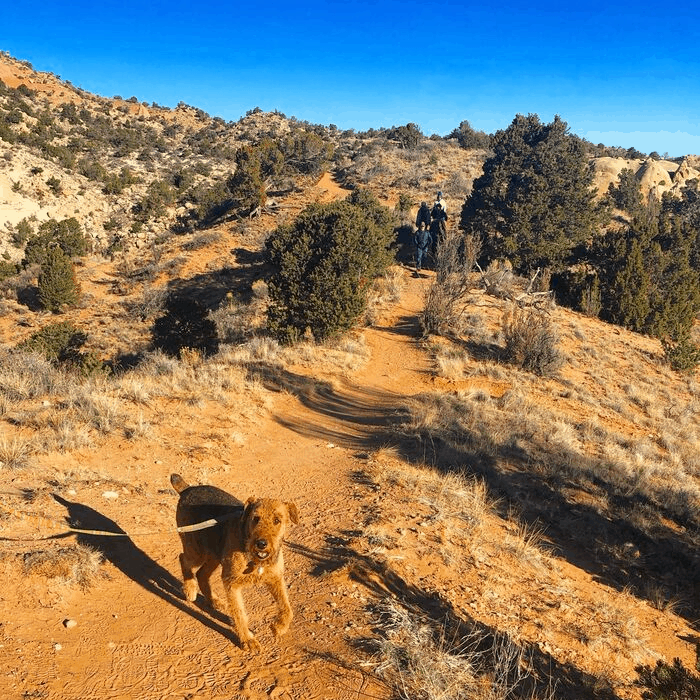 Top 5 Things to Do in Gallup New Mexico