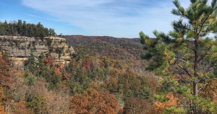 5 Things to Do When You Visit Red River Gorge - Adventure Mom
