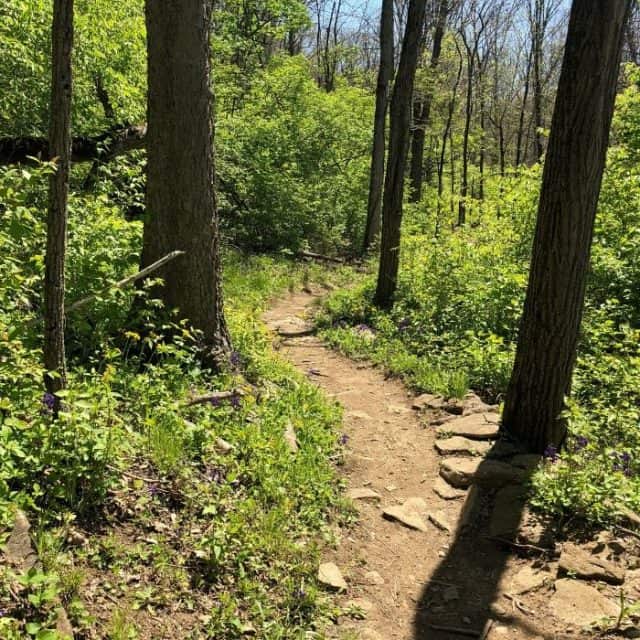 Top Things to Do at Devou Park in Covington