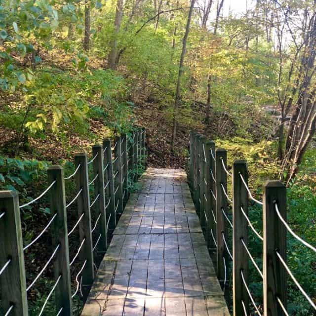 The Best Places to Hike in Northern Kentucky