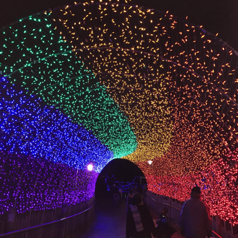 10+ Cincinnati Holiday Events That You Don't Want to Miss!