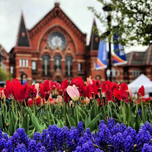 The Best Places to See Spring Flowers in Cincinnati