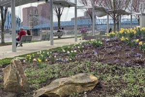 The Best Places to See Spring Flowers in Cincinnati
